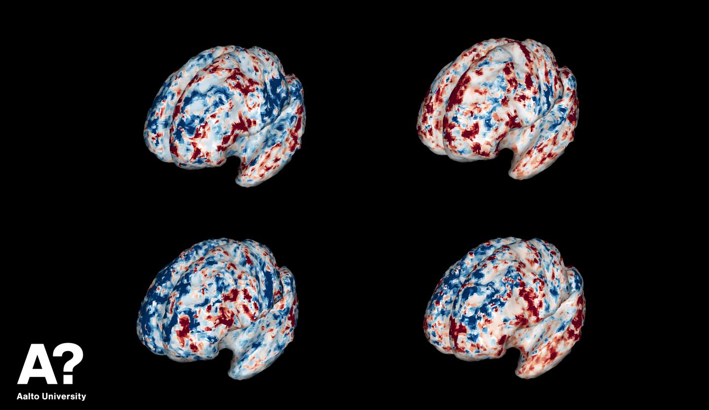 4 Brains thinking about Moose [IMAGE] | EurekAlert! Science News Releases