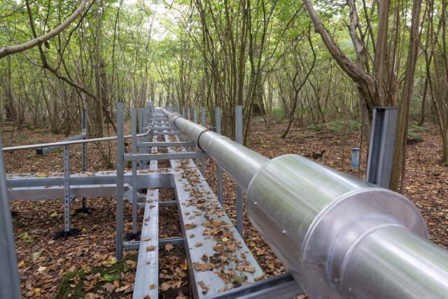 BIFoR FACE Facility [IMAGE] | EurekAlert! Science News Releases