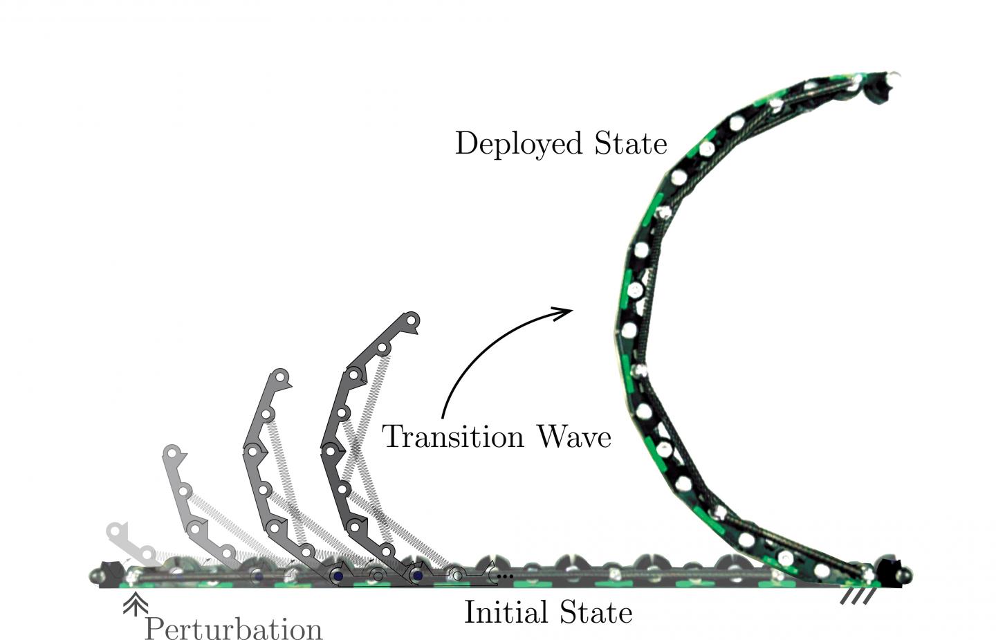 Platform for deployable structures | EurekAlert!