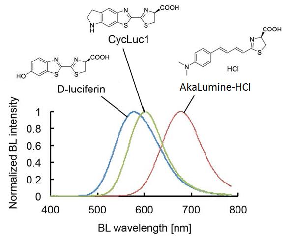 Bioluminescence Emission Spect [IMAGE] | EurekAlert! Science News Releases