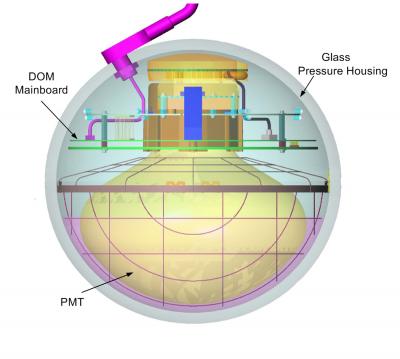 DOM Schematic [IMAGE] | EurekAlert! Science News Releases
