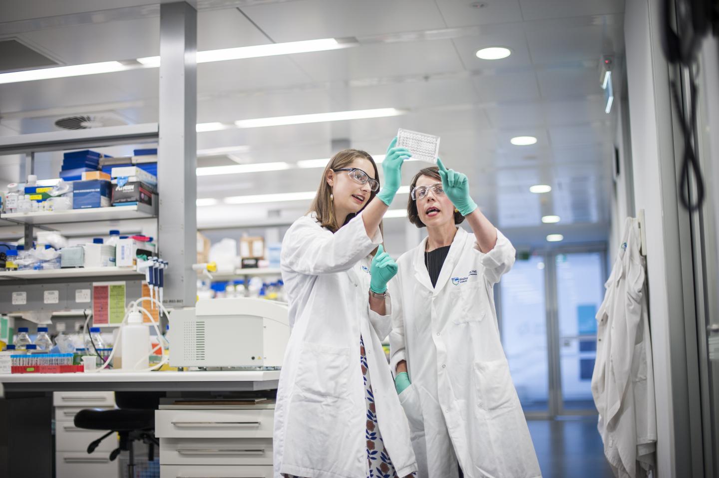 Dr Sarah Best (left) and Dr Ka [IMAGE] | EurekAlert! Science News Releases