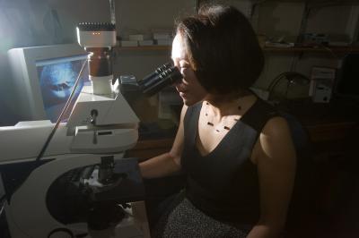 University of Michigan Researc [IMAGE] | EurekAlert! Science News Releases