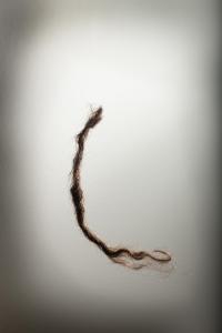 Aboriginal Australian Genome Sequenced (8 of | EurekAlert!