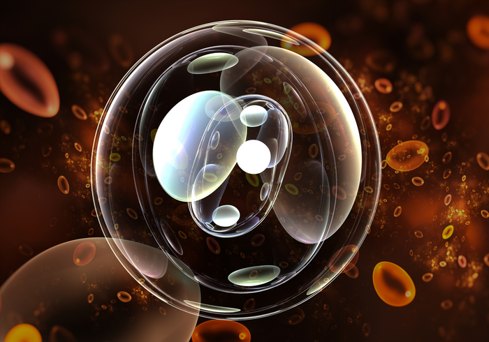 Cellular cleanup | EurekAlert!