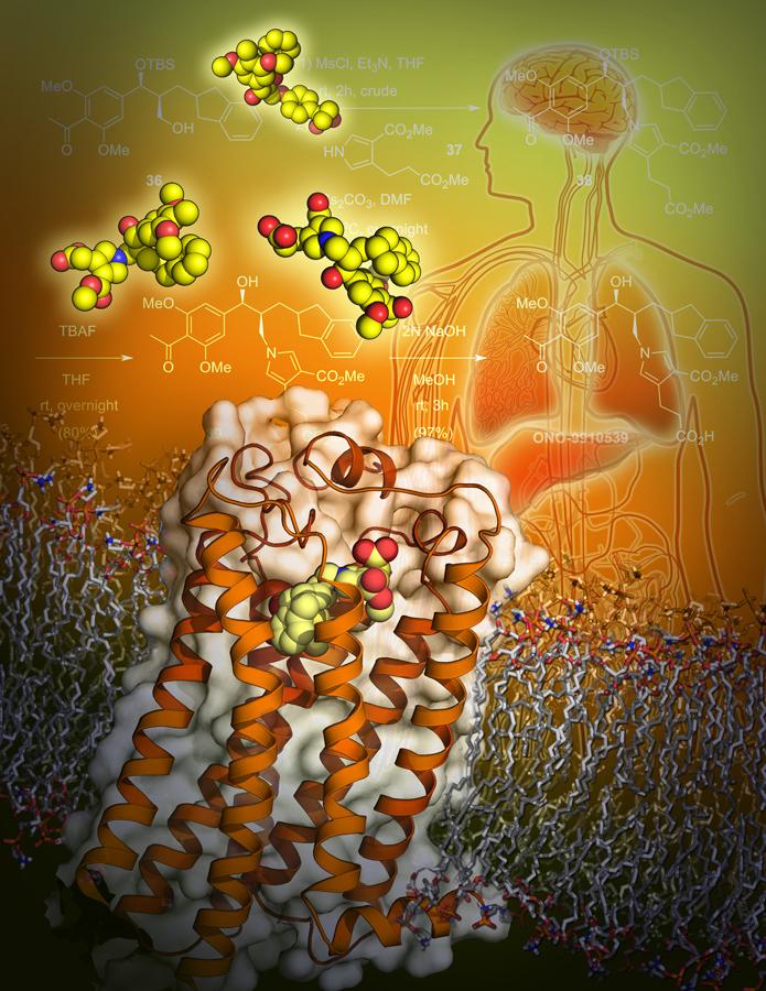LPA1 Receptor [IMAGE] | EurekAlert! Science News Releases