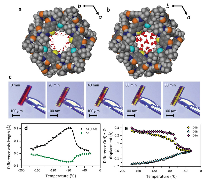 Micrograph Transition From R [image] Eurekalert Science News Releases
