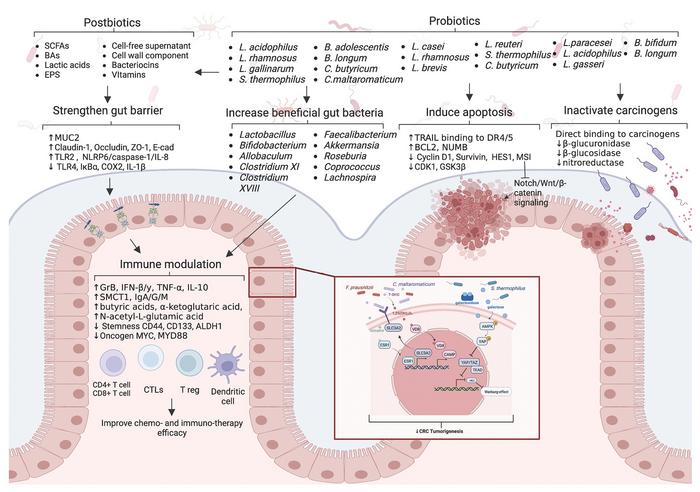 Evidence on the anti-cancer ef [IMAGE] | EurekAlert! Science News Releases