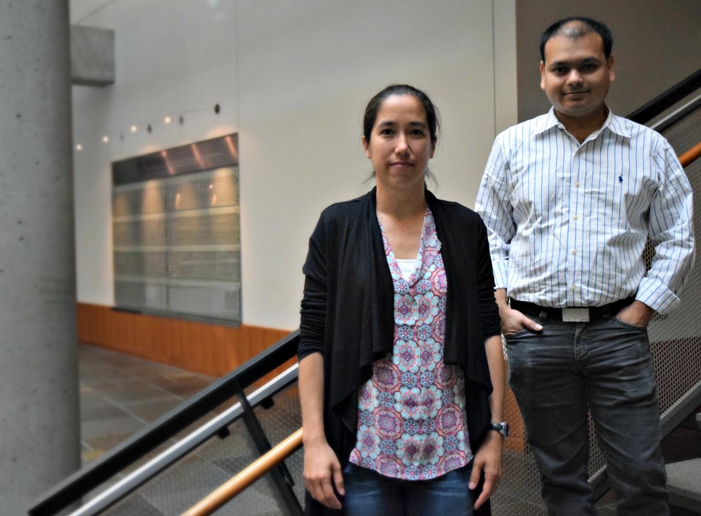 Kai-Mei Fu and Arka Majumdar, [IMAGE] | EurekAlert! Science News Releases
