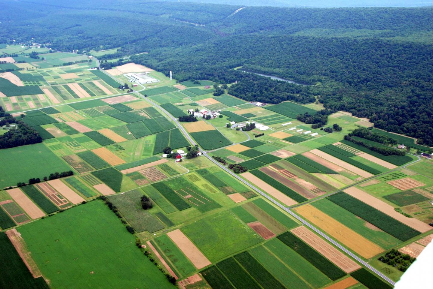 Rock Springs [IMAGE] | EurekAlert! Science News Releases