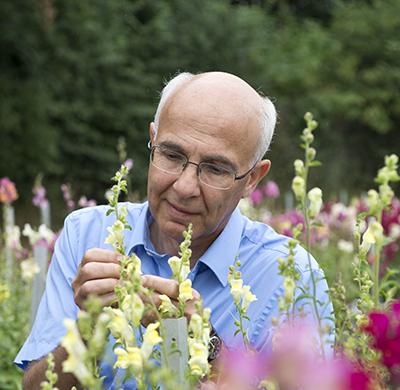 Professor Enrico Coen, John In [IMAGE] | EurekAlert! Science News Releases