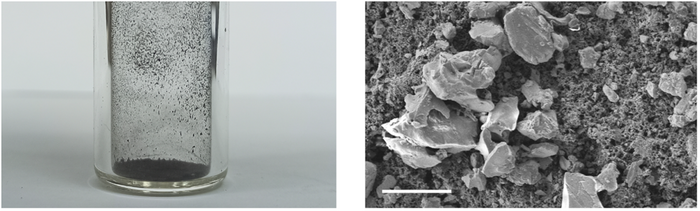 Scientists utilize lunar soils to sustainably | EurekAlert!