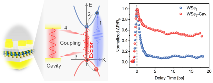 Figure 2 | Local field enhance [IMAGE] | EurekAlert! Science News Releases