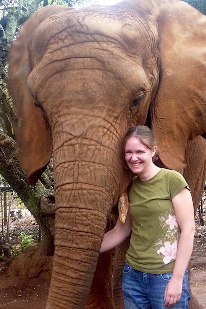 Not so fast: From shrews to elephants, animal | EurekAlert!