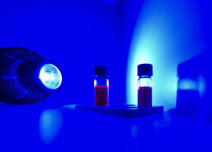 Experimental setup [IMAGE] | EurekAlert! Science News Releases