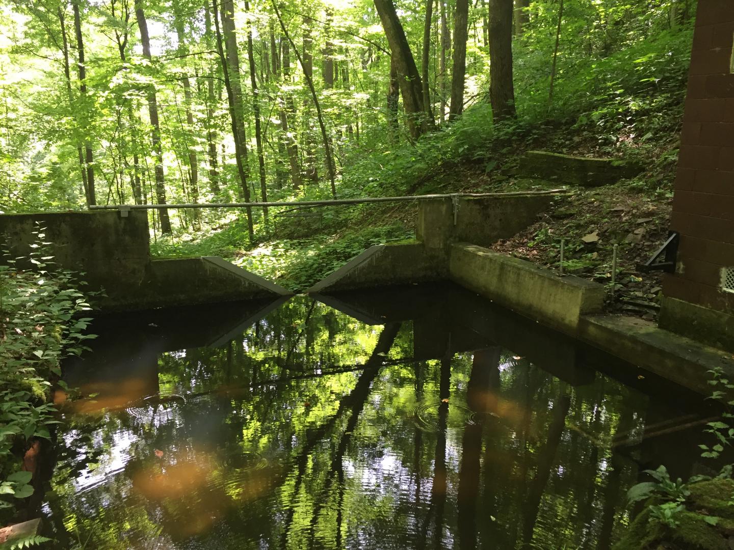 Plants Use More Water in Soils Leached by Aci | EurekAlert!