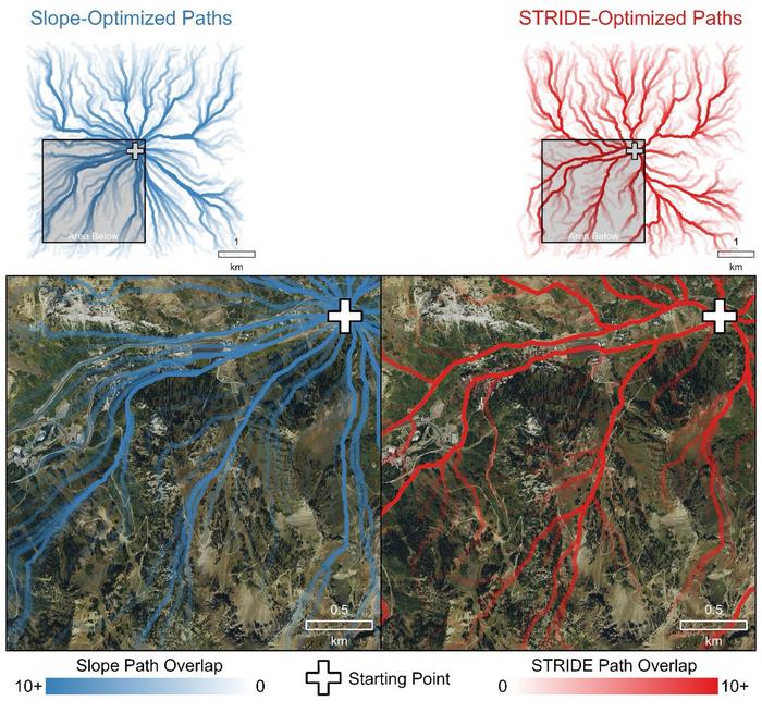 STRIDE vs slope-only model: Se [IMAGE] | EurekAlert! Science News Releases