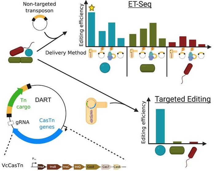 New Genome Editing Tools Can E [IMAGE] | EurekAlert! Science News Releases
