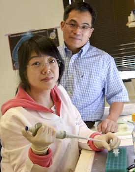Lei-Lei Wang and Chun-Li Zhang [IMAGE] | EurekAlert! Science News Releases