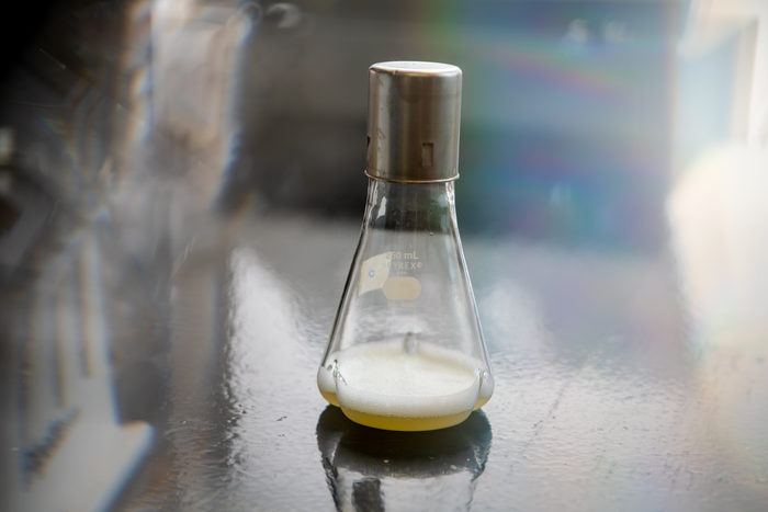 Flask [IMAGE] | EurekAlert! Science News Releases