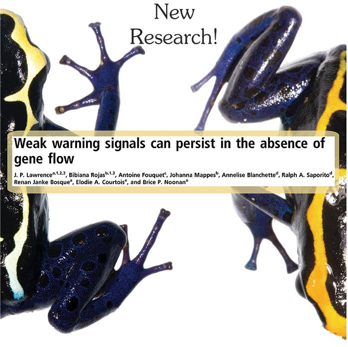 Weak Warning Signals: GIF-Anim [IMAGE] | EurekAlert! Science News Releases
