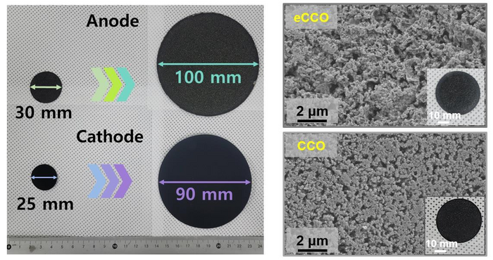 Image 2 [IMAGE] | EurekAlert! Science News Releases