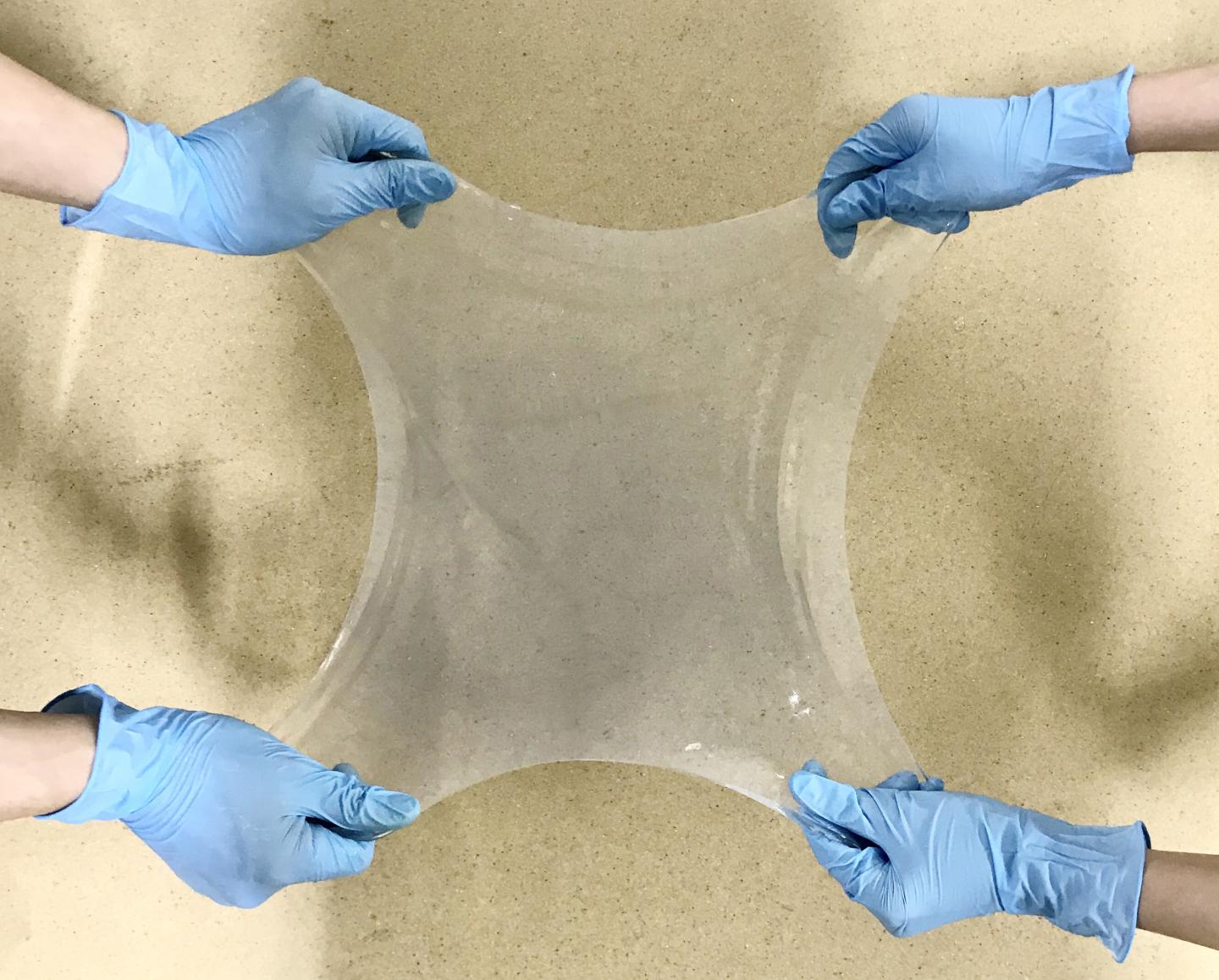 The Newly Developed Gel [IMAGE] | EurekAlert! Science News Releases