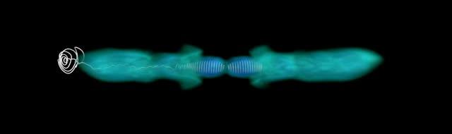 New 3-D simulations show how galactic centers | EurekAlert!