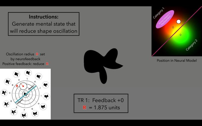 Sculpting the brain (without chisel or scalpe | EurekAlert!