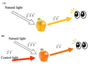 Unifying colors by primes | EurekAlert!