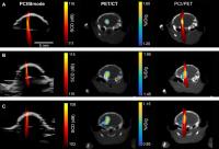 A new method for precision drug delivery: Pai | EurekAlert!