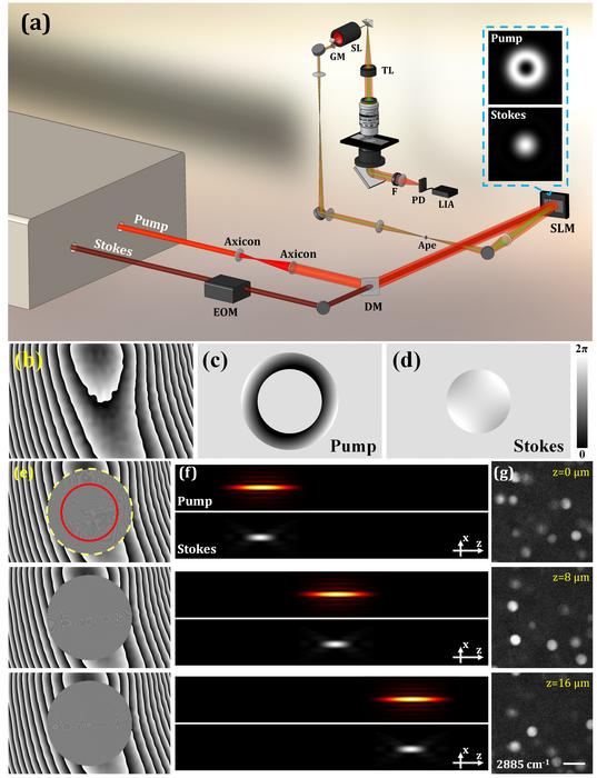 fig 1 [IMAGE] | EurekAlert! Science News Releases