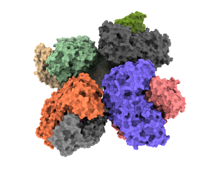 Image [IMAGE] | EurekAlert! Science News Releases