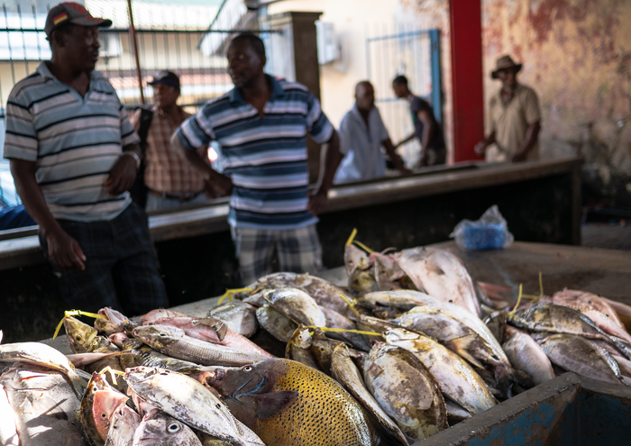 Victoria Market, Seychelles [IMAGE] | EurekAlert! Science News Releases