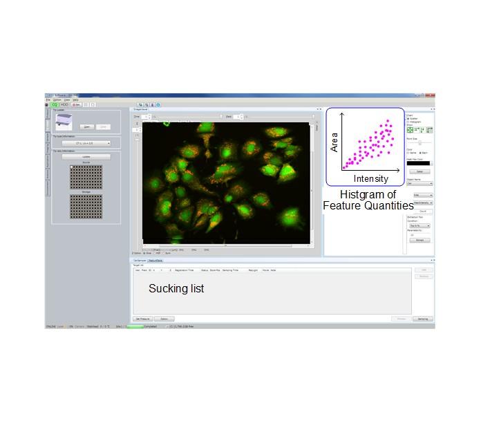 Fig.1 [IMAGE] | EurekAlert! Science News Releases
