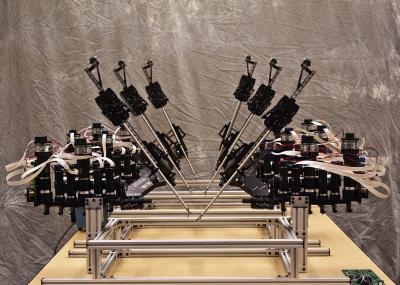 Raven II [IMAGE] | EurekAlert! Science News Releases