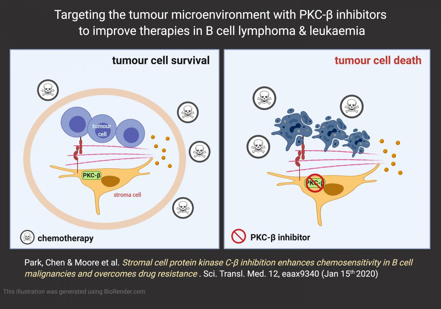 Strangling the Stroma Overcomes Treatment Res | EurekAlert!