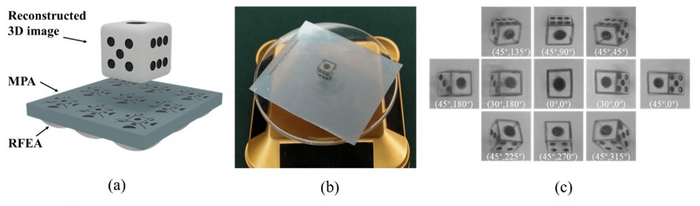 Reflective light-field imaging [IMAGE] | EurekAlert! Science News Releases