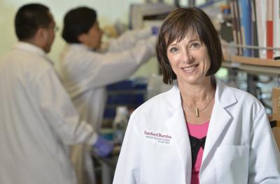 Sheila Collins, Ph.D., Sanford [IMAGE] | EurekAlert! Science News Releases