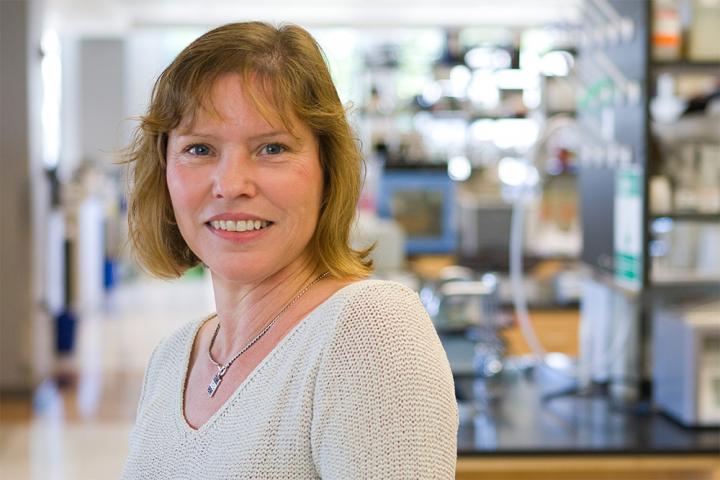 Lisa Stubbs, University of Ill [IMAGE] | EurekAlert! Science News Releases