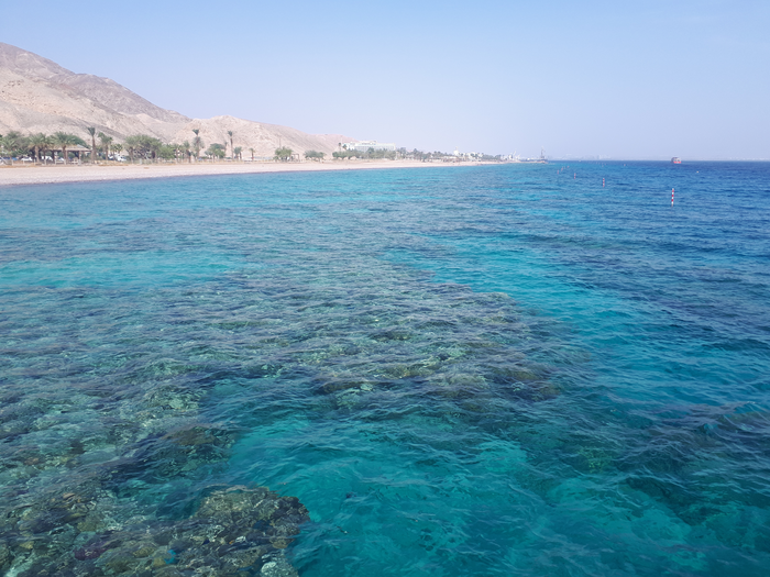 Gulf of Aqaba [IMAGE] | EurekAlert! Science News Releases
