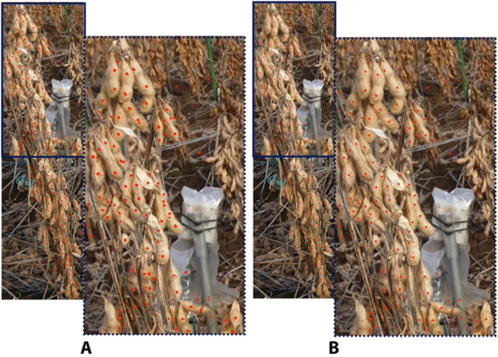 Fig. 5. The comparisons betwee [IMAGE] | EurekAlert! Science News Releases