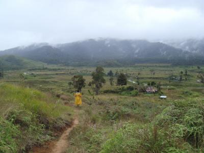 Record of Early Humans in the [IMAGE] | EurekAlert! Science News Releases