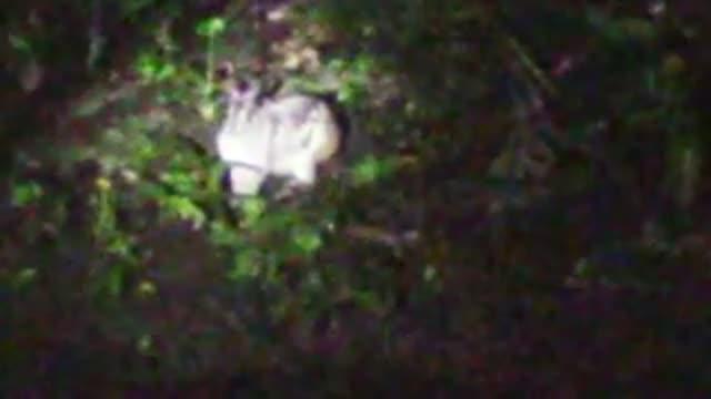 University of East Anglia researcher finds ra | EurekAlert!