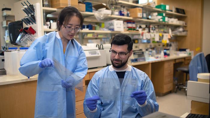 Jiayun Li/Philip Moresco [IMAGE] | EurekAlert! Science News Releases