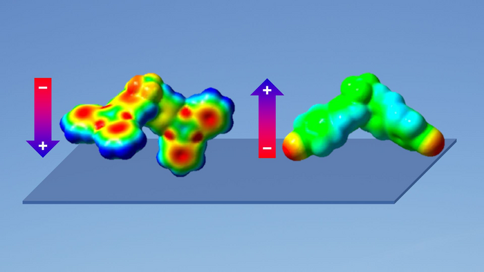 Molecules producing different [IMAGE] | EurekAlert! Science News Releases