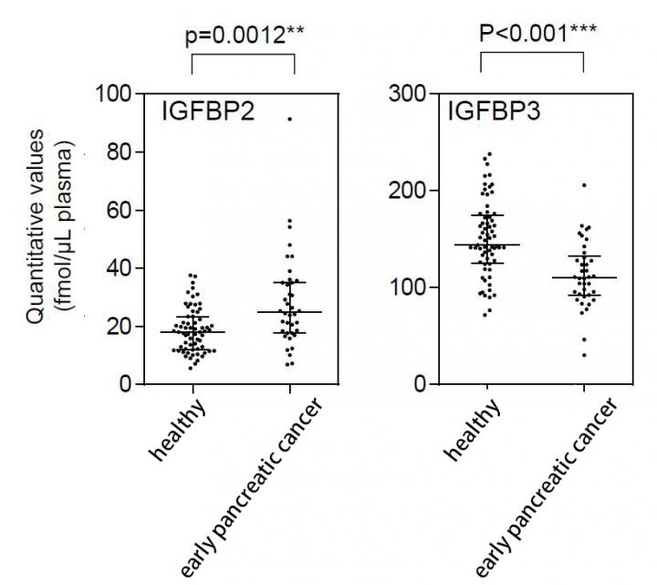 Comparison of IGFBP2 and IGFBP [IMAGE] | EurekAlert! Science News Releases