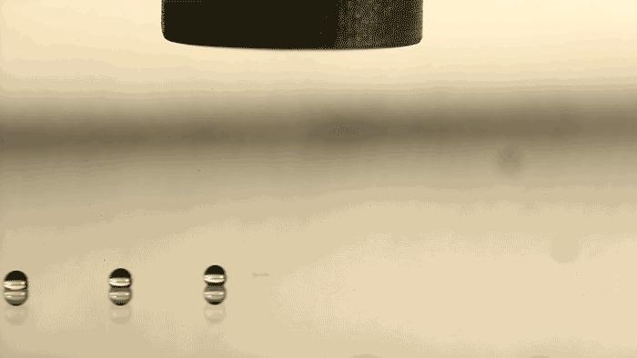 Honey Drop Patterning -- Gif [IMAGE] | EurekAlert! Science News Releases