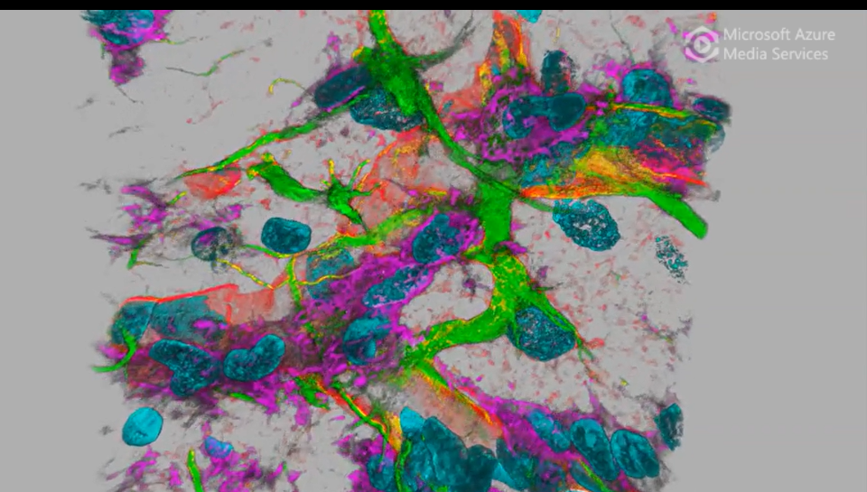 CNIC scientists identify a neuroprotective ac | EurekAlert!
