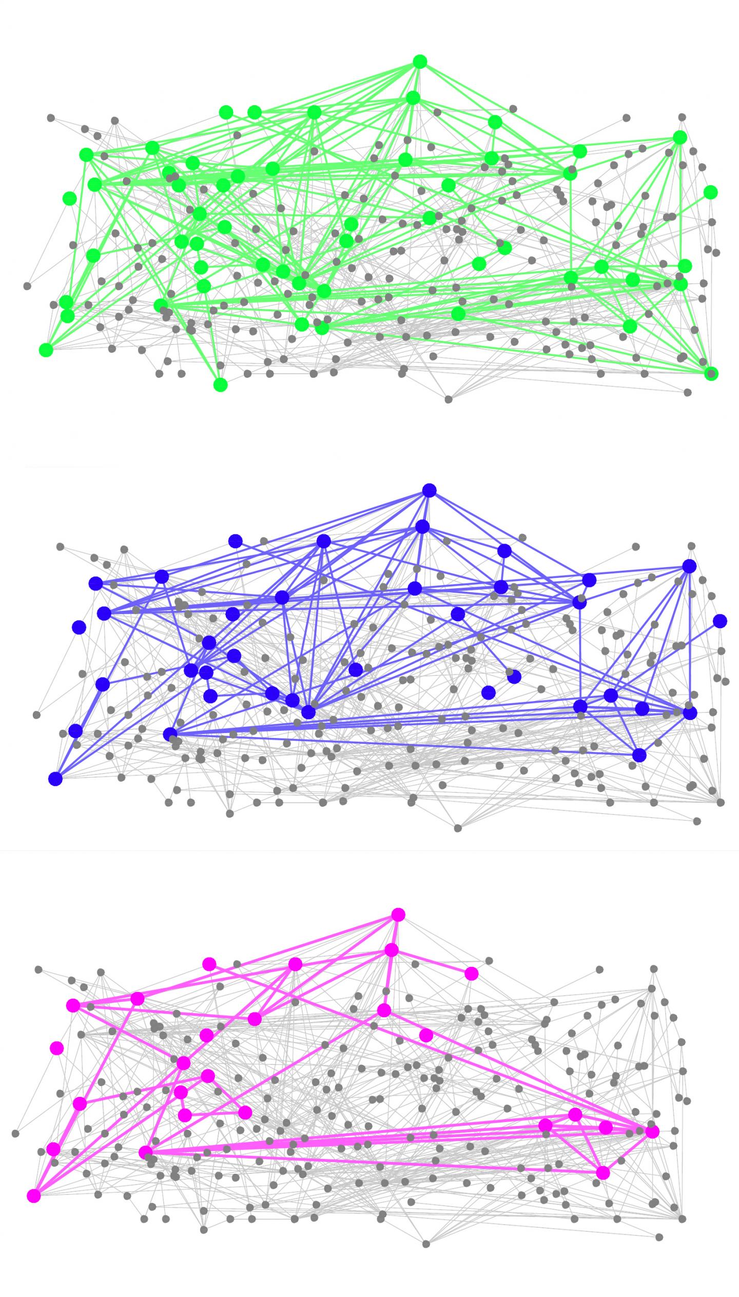 Neuron Hub Maps [IMAGE] | EurekAlert! Science News Releases